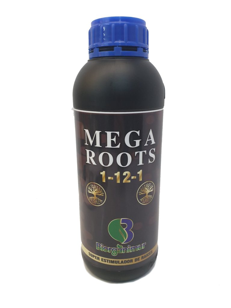 Mega Roots | FlowVerde